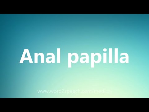 Anal papilla - Medical Definition