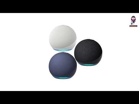 How to Set Up and Use the ECHO Dot 5th Gen Smart Speaker With Alexa