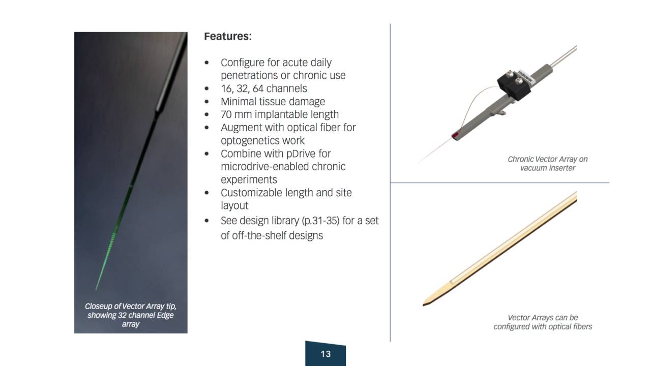 Primate Training Course: Vector Array