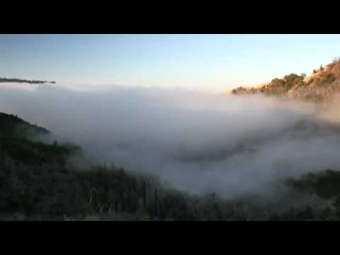 What is Fog?