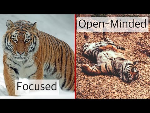 Analytical Thinking   vs   Creative Thinking