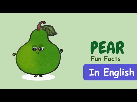 Pear | Easy Fun Facts for Kids and Toddlers in English