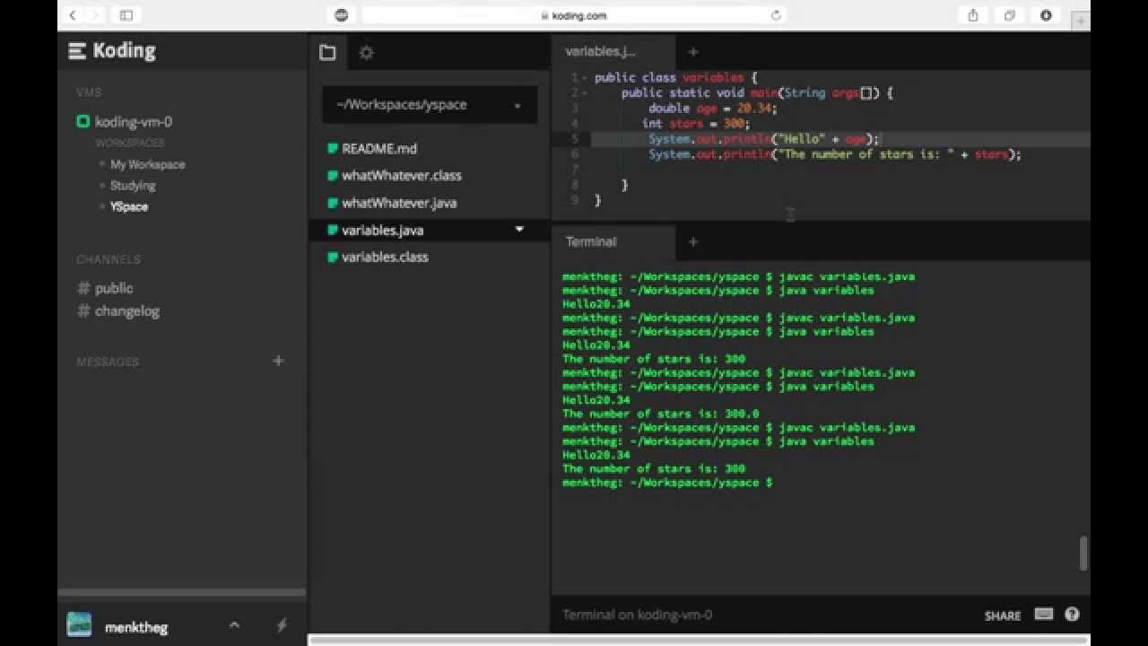 Java Lesson 2 - Variables - using int & double