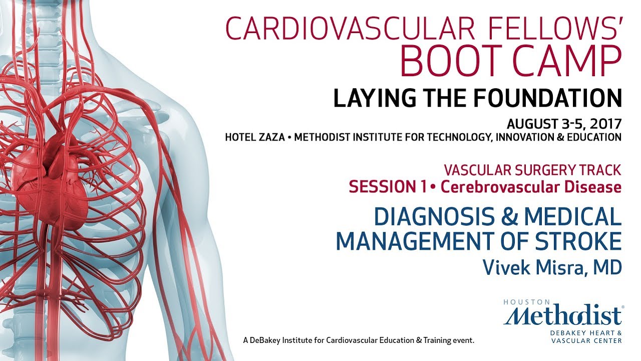 Diagnosis & Medical Management of Stroke (Vivek Misra, MD)