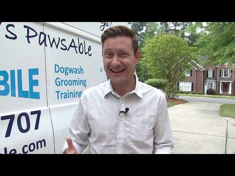 We Are Better Together: Anything's Pawsable Dog Grooming