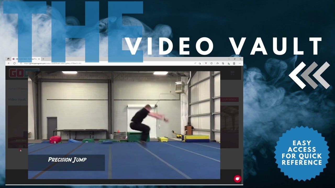 The Go Ninja Program