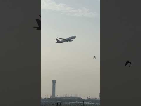 Ex-Vistara Now #AirIndia Airbus A320neo taking off from Delhi #Vistara #Airbus #A320neo #Takeoff