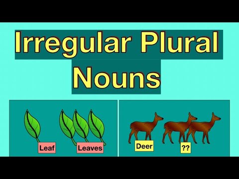 Irregular Plural Nouns || Singular and Plural Noun #english #englishgrammar