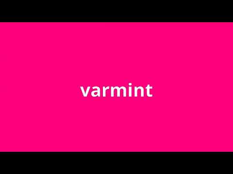 what is the meaning of varmint.