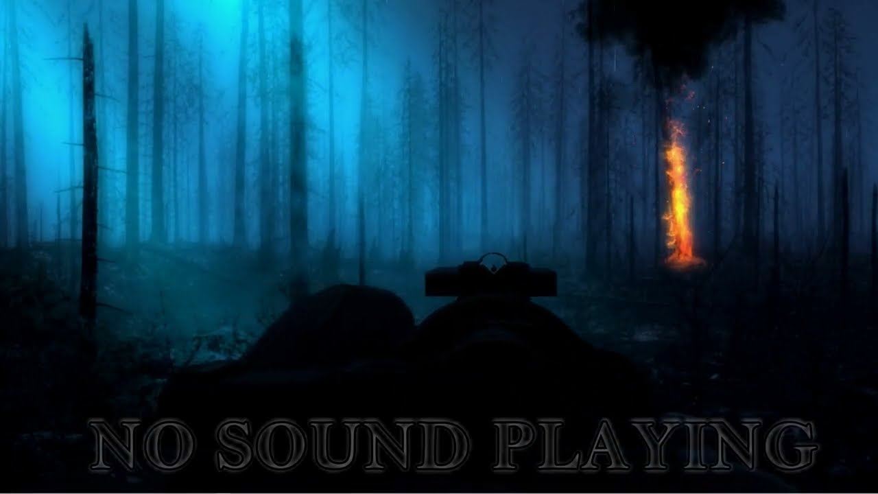 Hell Let Loose (PTSD) Wallpaper Demo