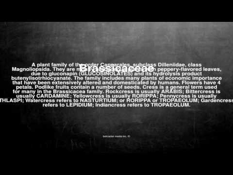 Medical vocabulary: What does Brassicaceae mean