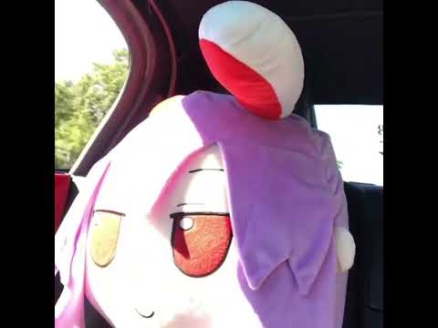 deka reisen fumo pulls up