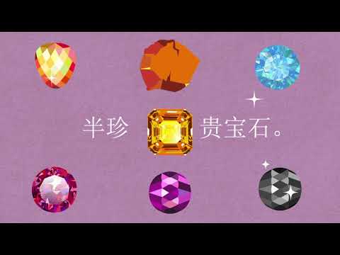 Rare Gems Art & History in a Gem - Chinese