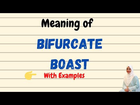 Daily vocabulary | Bifurcate Meaning | Boast Meaning