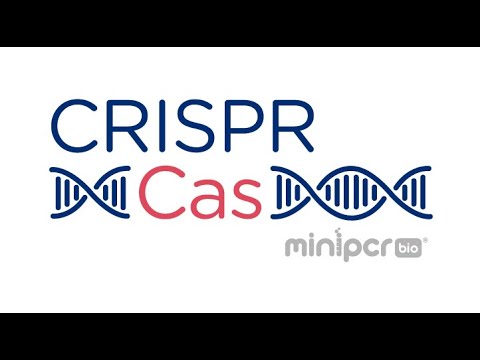 CRISPR/Cas gene therapy webinar