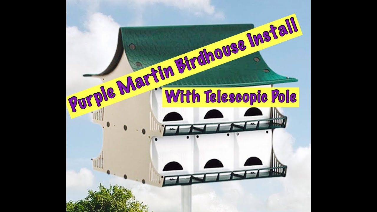 Purple Martin Birdhouse & pole installation
