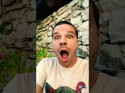 When your girlfriend adopt Persian cat and your read facts #cats #catvideos