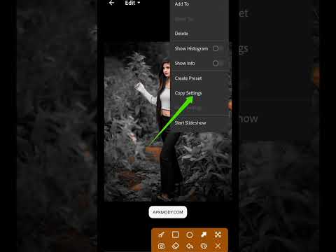 lightroom copy and paste photo editing ???? #shorts