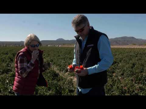 Hatch Chile Products | The Fresh Chile Company