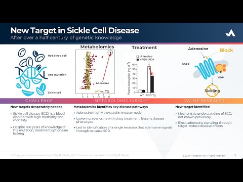 New Target in Sickle Cell Disease