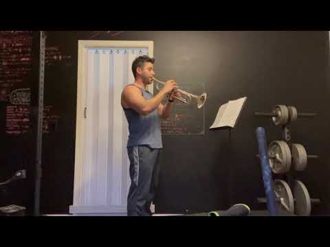 Bach LT190S1B Stradivarius Commercial Model Bb Trumpet 2010s | Reverb