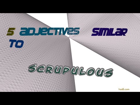 scrupulous - 8 adjectives having the meaning of scrupulous (sentence examples)
