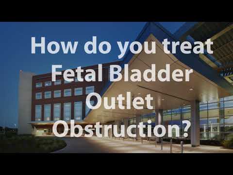 What Is Fetal Bladder Outlet Obstruction