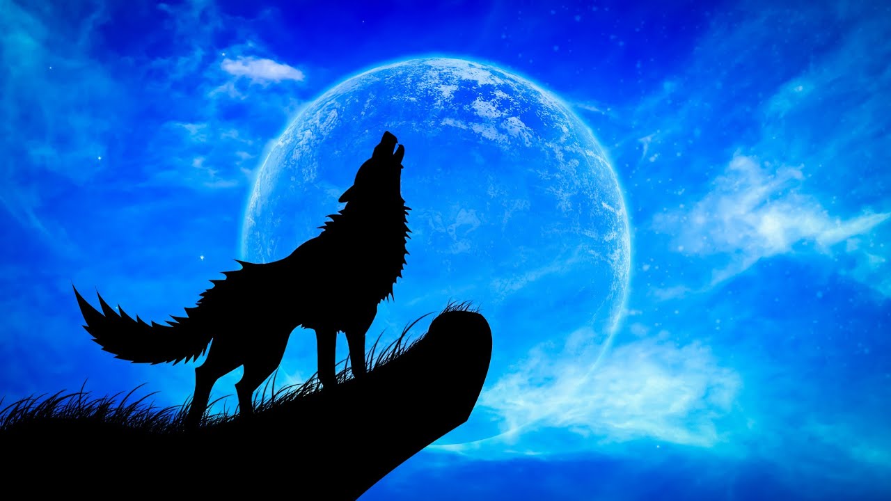 Worldwide Howl at the Moon Night | Wolves Howling at the Moon