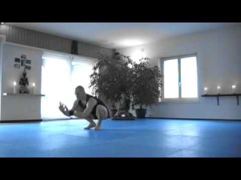 Dynamic Flow Yoga: Original Spider Cycle