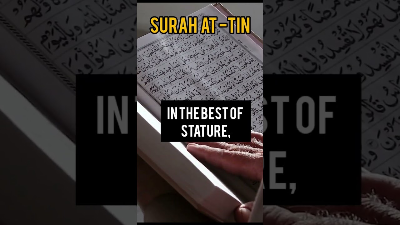 SURAH AT TIN THE FIG WITH ENGLISH TRANSLATION quran surah islam surahattin