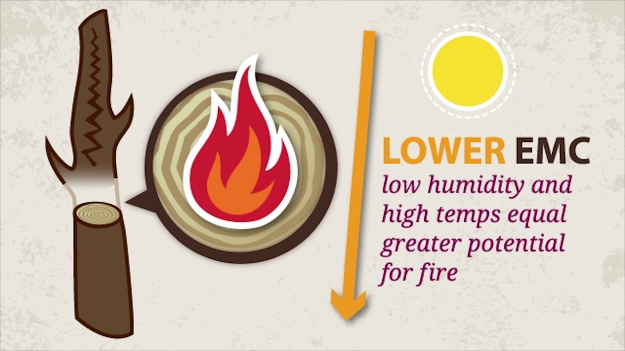 WFSTAR:  Introduction To Dead Fuel Moisture