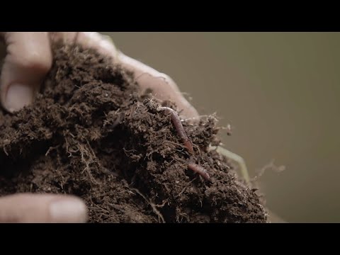 What is Regenerative Agriculture?