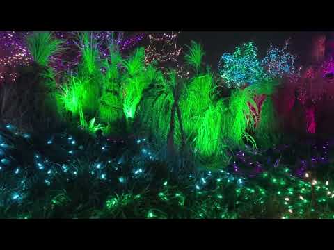 VanDusen Festival of Lights 2024 | must-see