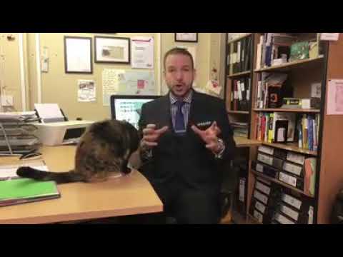 EP: 2 - The difference between an estimate and a quote
