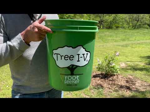 Tree I-V Root Seeker Watering System for New Trees - Full Features 2023