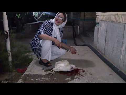 beautiful woman slaughtering a chicken