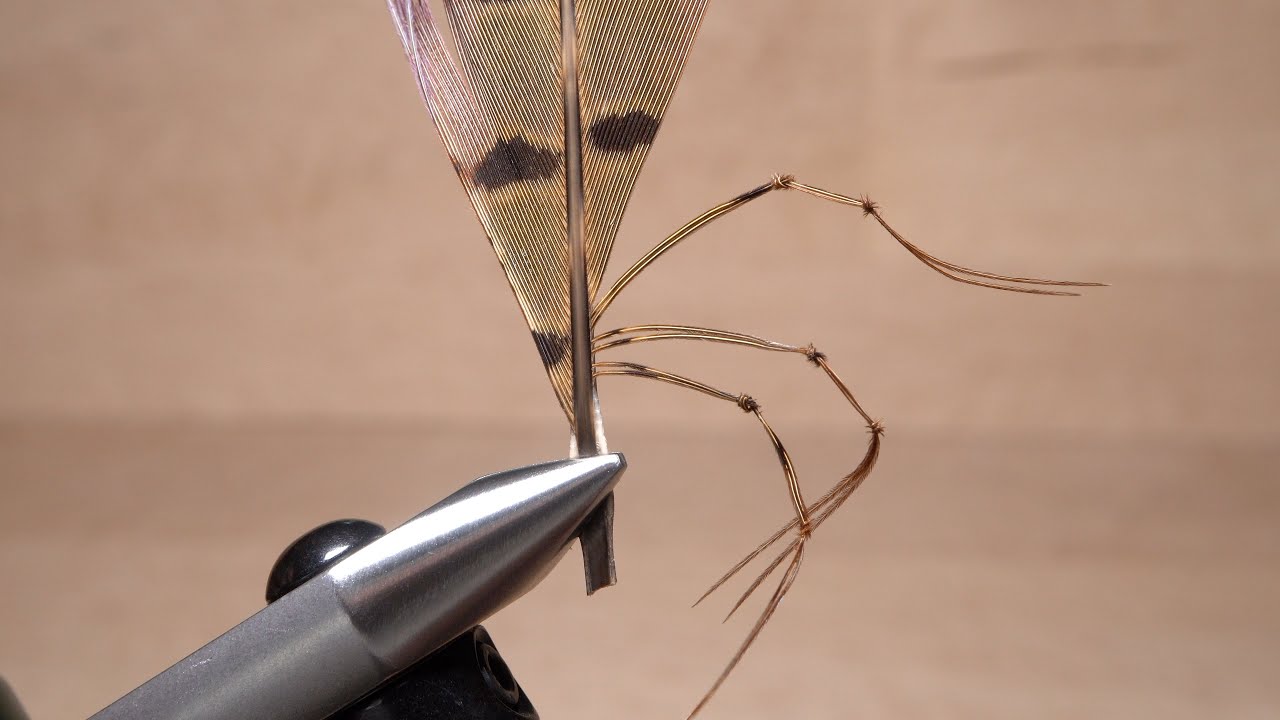 Knotting Pheasant Tail Legs