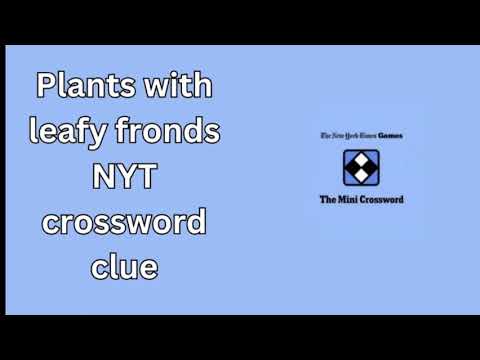Plants with leafy fronds   NYT crossword clue
