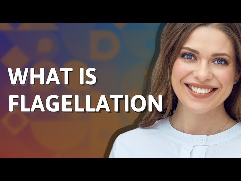 Flagellation | meaning of Flagellation