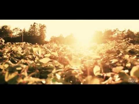Sordal - Unquestionable (Official Video)