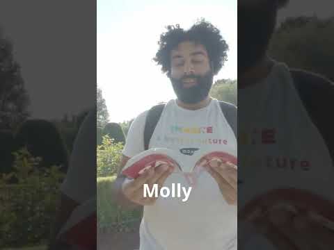 Boston man defines "MMG", "Molly",  and "Moola'" from the Rap Dictionary