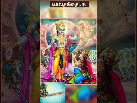 Important slokas in Bagavad Gita with Tamil meaning #shortsfeed #tamil #sanskritwisdom