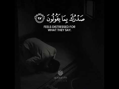 Heart touching quranic ayat for peace of mind | Check comments for full Quran Recitation