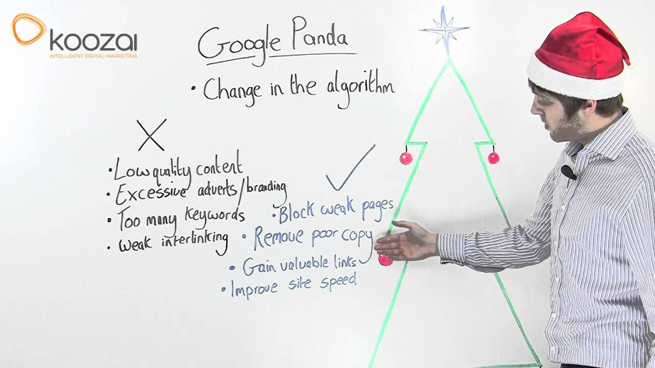 Guide to The Google Panda Update