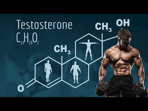 Testosterone Hormone - Basic Physiology, Functions, And Signs & Symptoms Of Low Testosterone