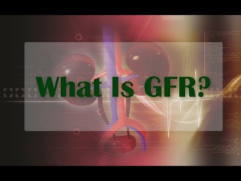 GFR Meaning - What is Creatinine And Other Kidney Disease Terminology