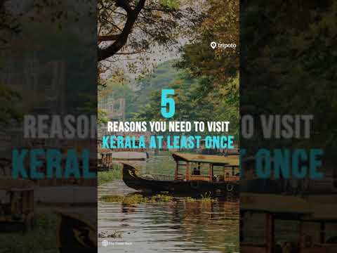 5 Reasons You Need To Visit Kerala SOON | Tripoto #Shorts