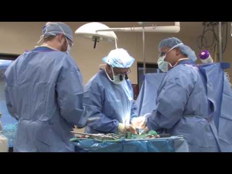 NeuroSpine Institute | About Us