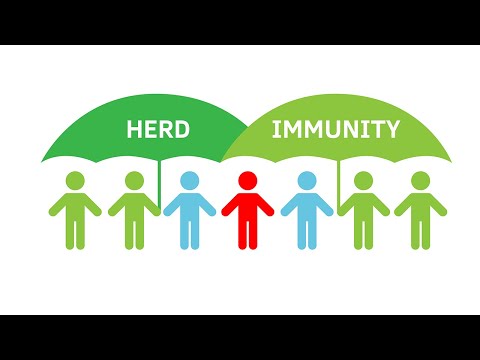 What is herd immunity?