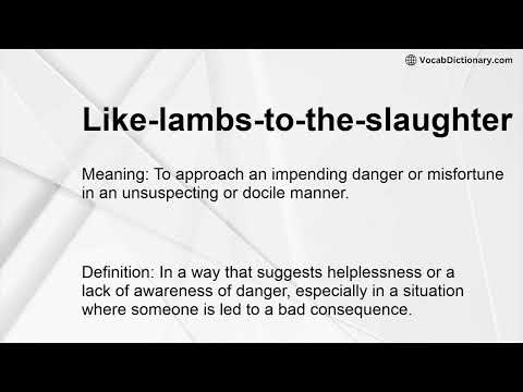 Like-lambs-to-the-slaughter Meaning